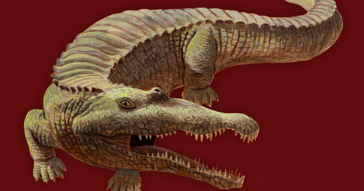 redondasaurus size