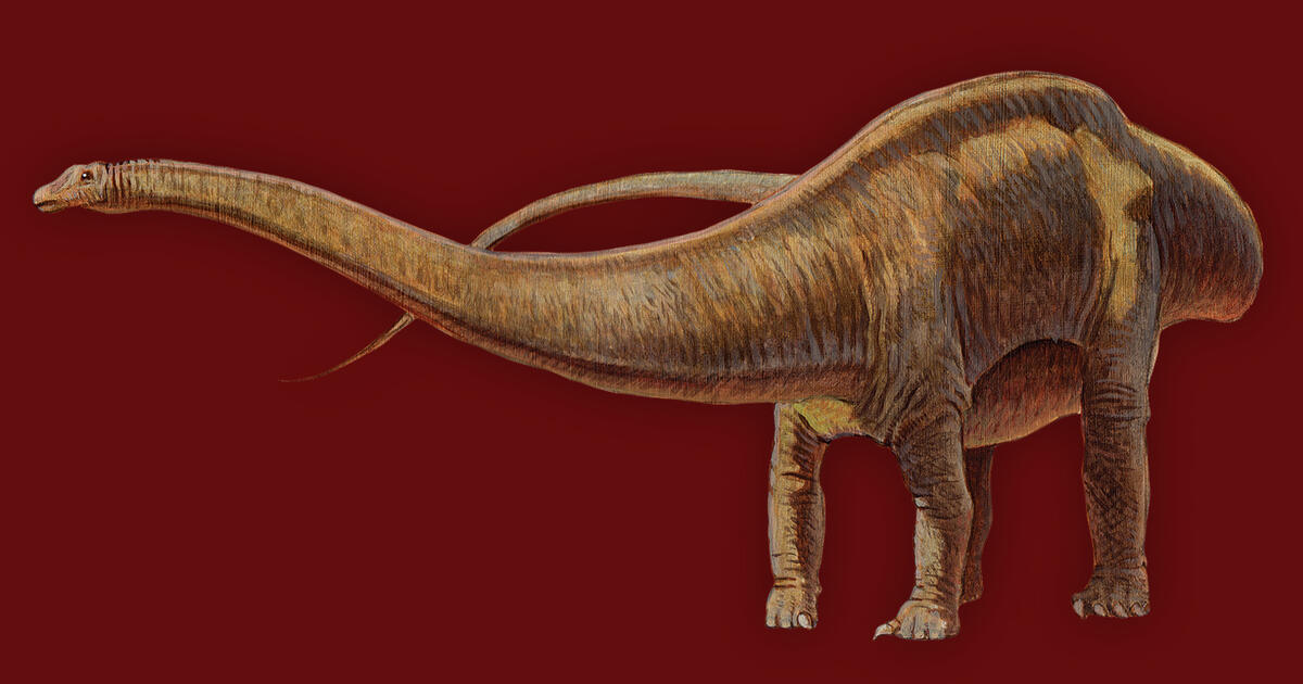 Seismosaurus