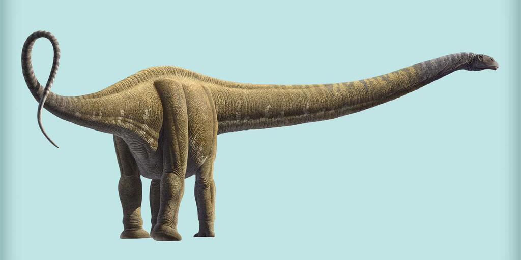 mamenchisaurus