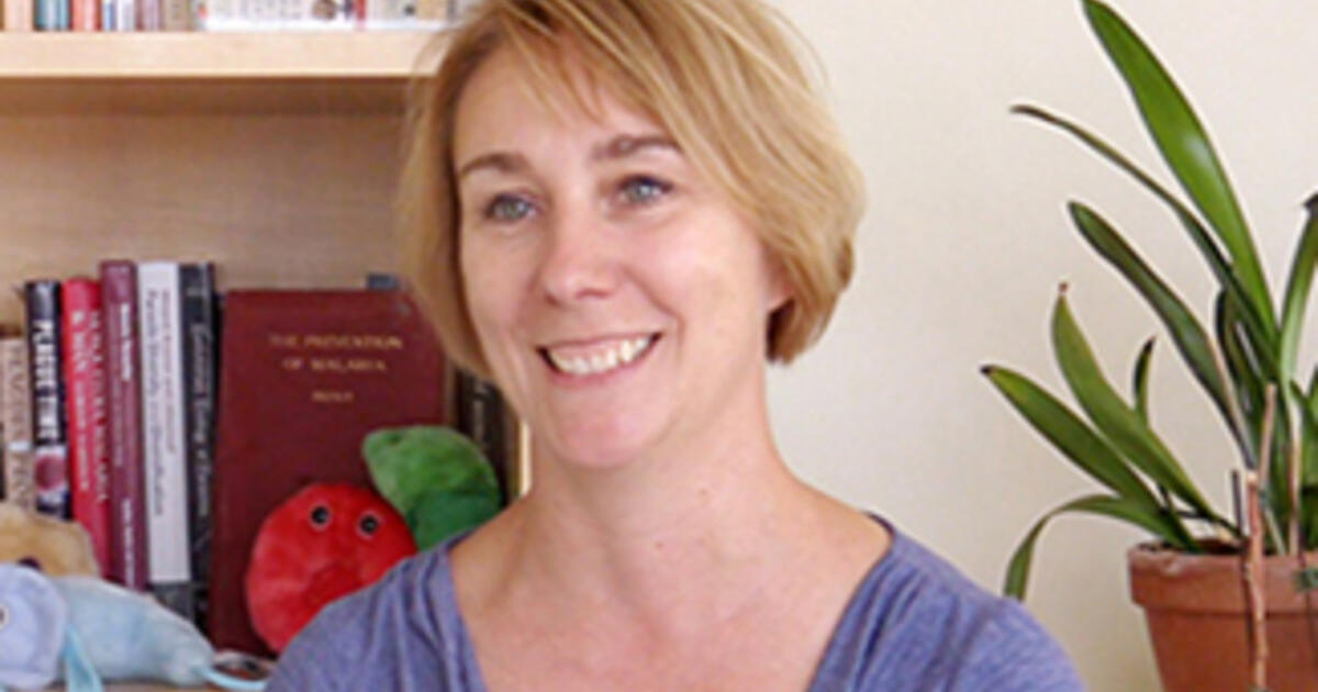 Susan Perkins | AMNH