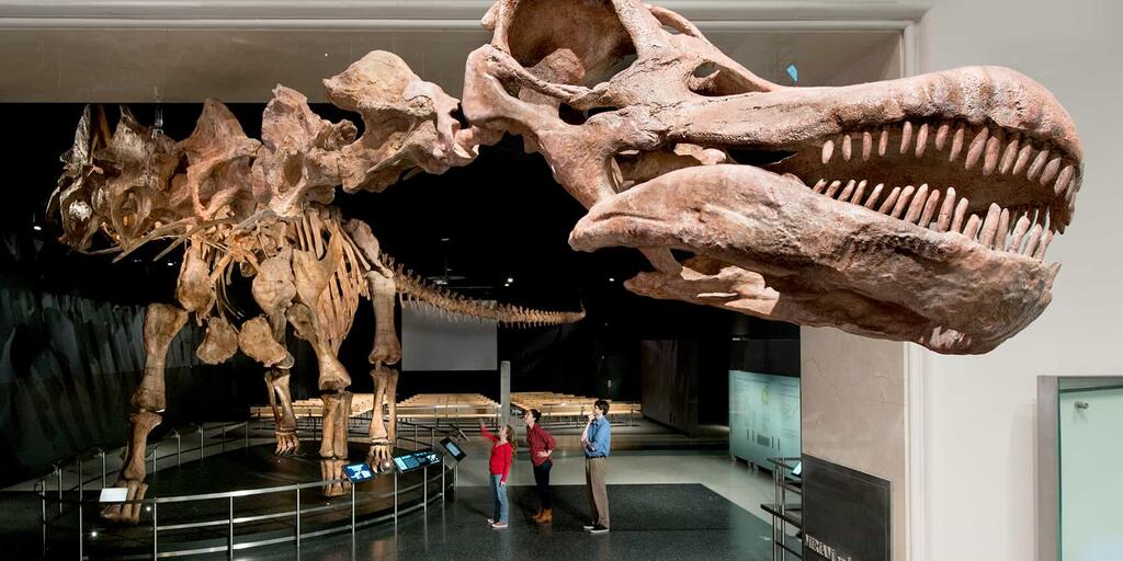 patagosaurus skeleton