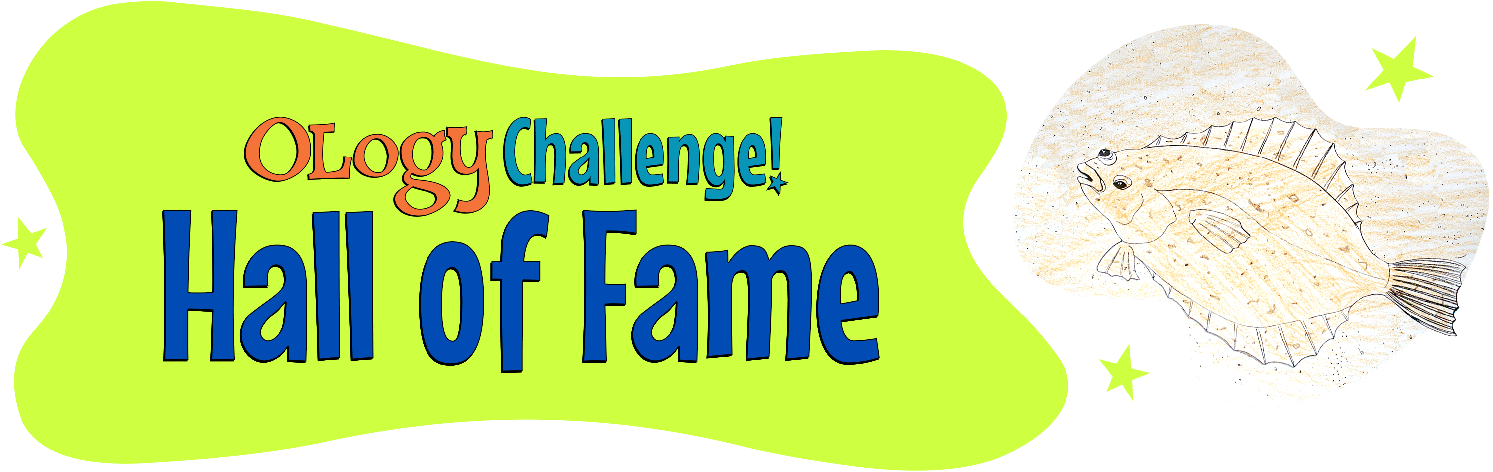 Camouflage a Creature Challenge Winners | AMNH