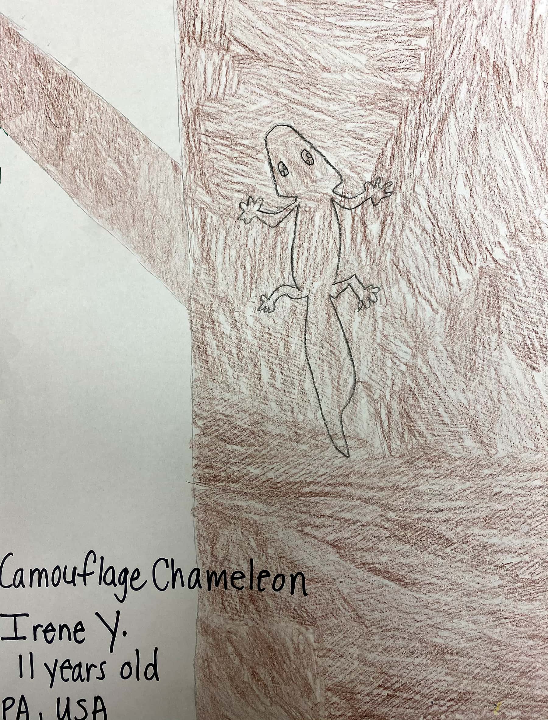 Camouflage a Creature Challenge Winners | AMNH