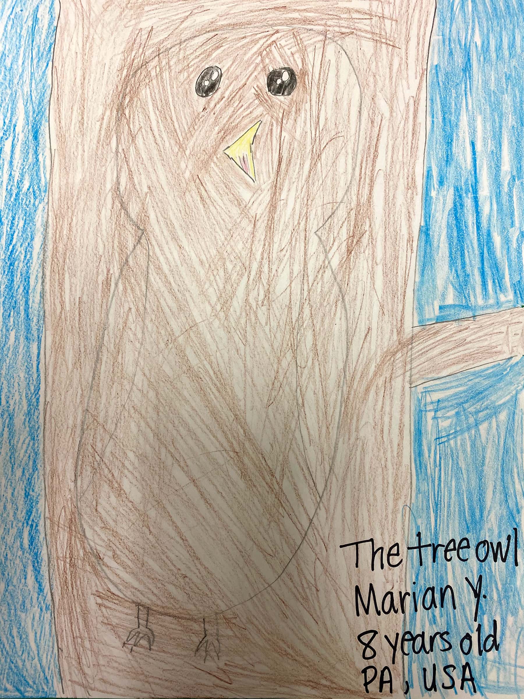 Camouflage a Creature Challenge Winners | AMNH