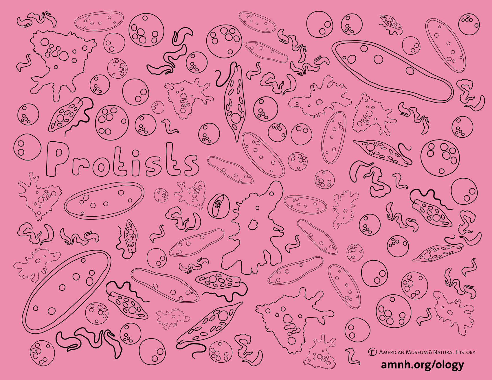 Color the Microbes Challenge Winners | AMNH