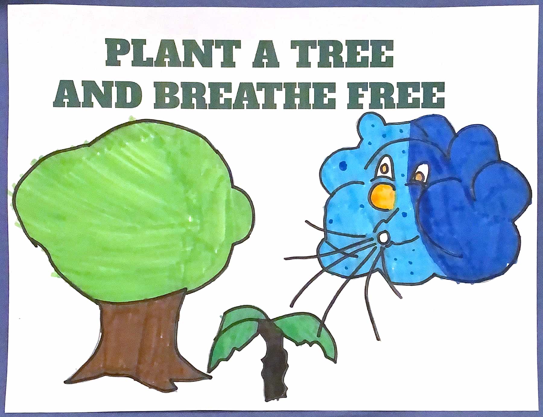 Create a Climate Poster Challenge Winners | AMNH Create a Climate Poster Challenge Winners | AMNH