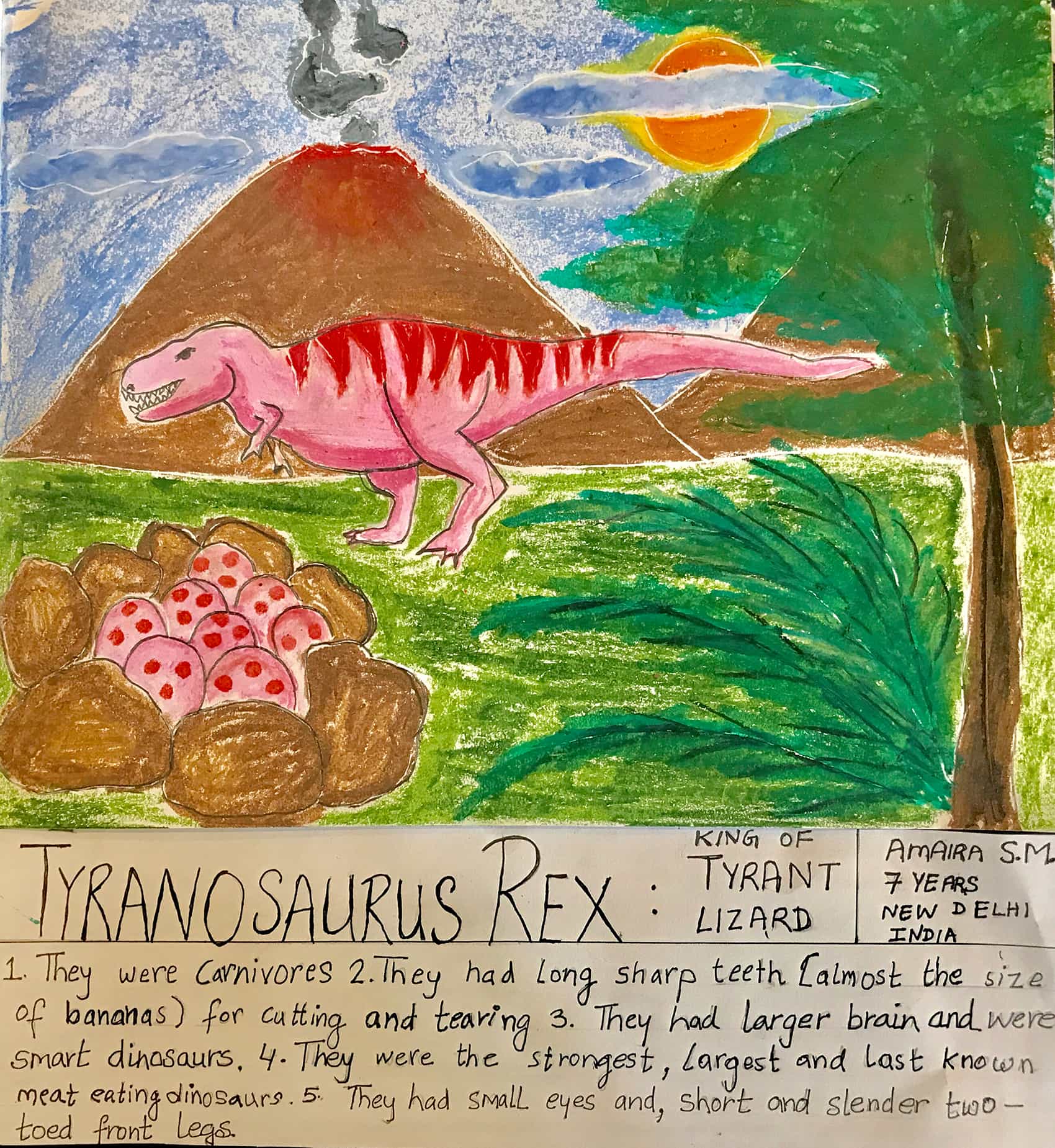 Draw a Dinosaur Challenge Winners | AMNH