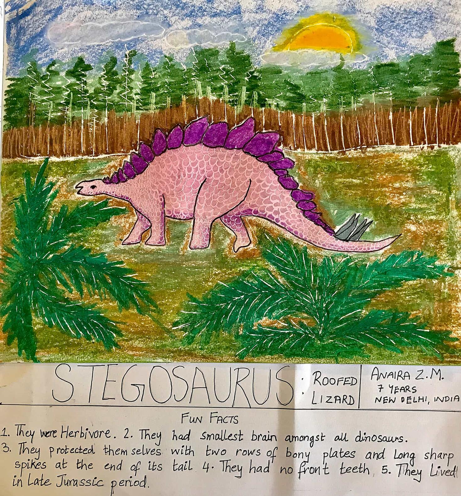 Draw a Dinosaur Challenge Winners | AMNH