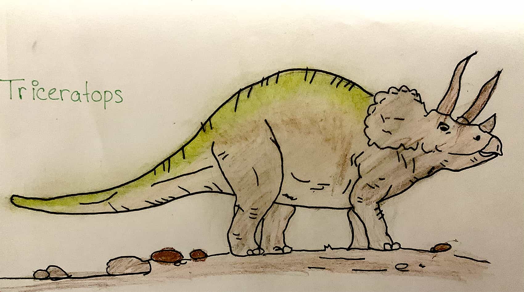 Draw a Dinosaur Challenge Winners | AMNH