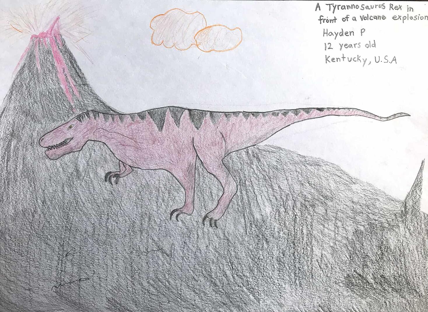 Draw a Dinosaur Challenge Winners | AMNH
