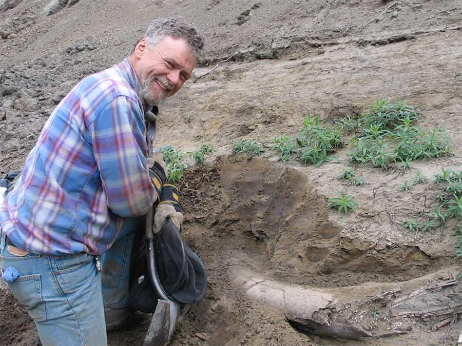 Draw a Horse Challenge Winners | AMNH