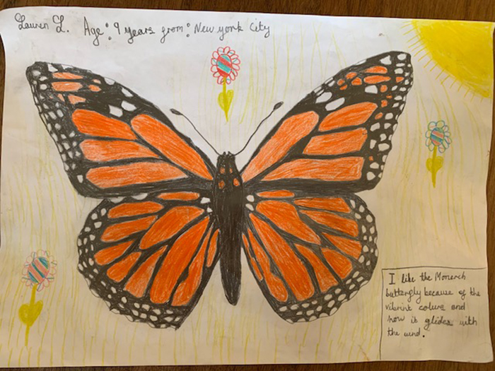 Draw a Butterfly Challenge Winners | AMNH