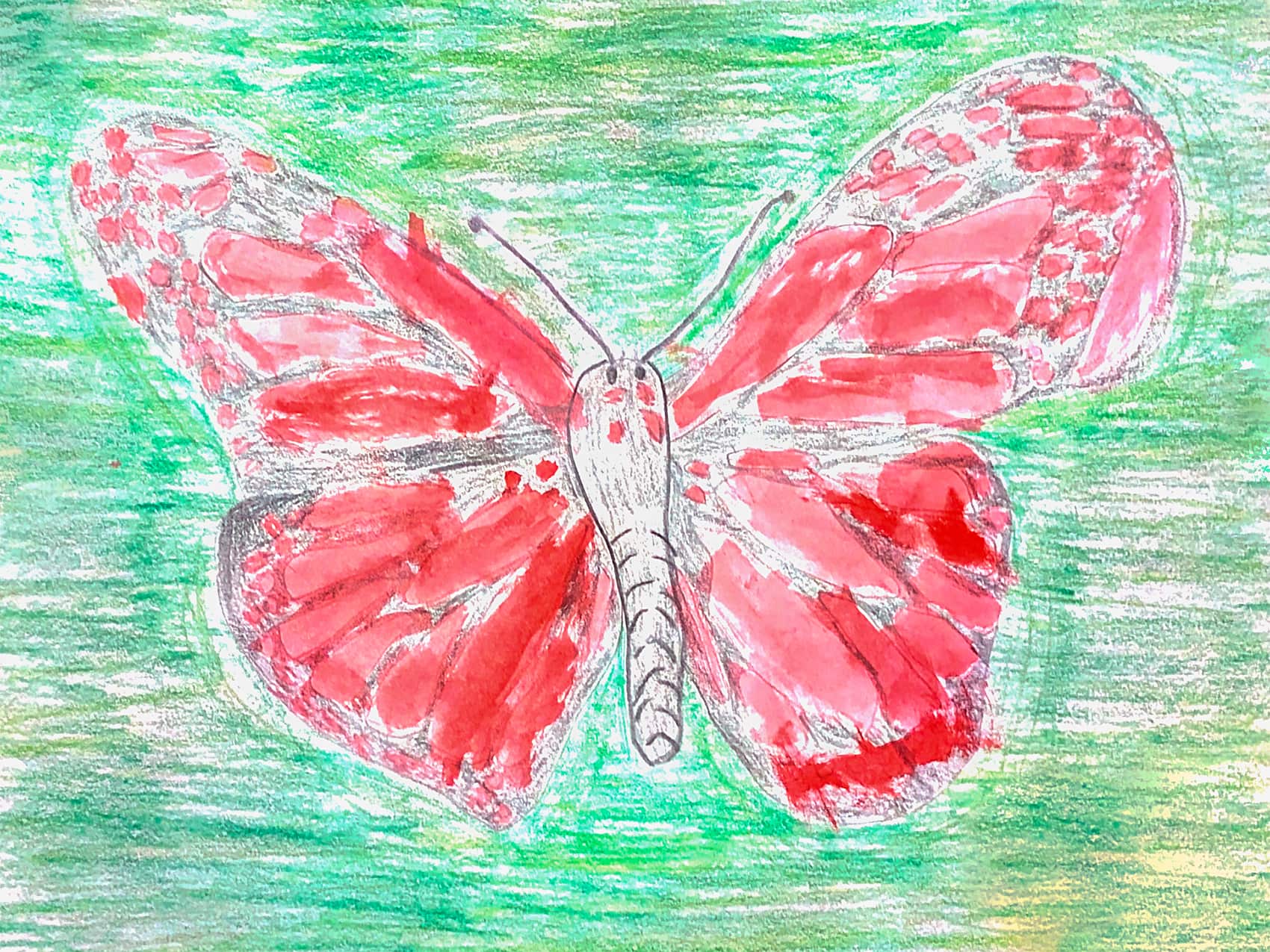 Draw a Butterfly Challenge Winners | AMNH