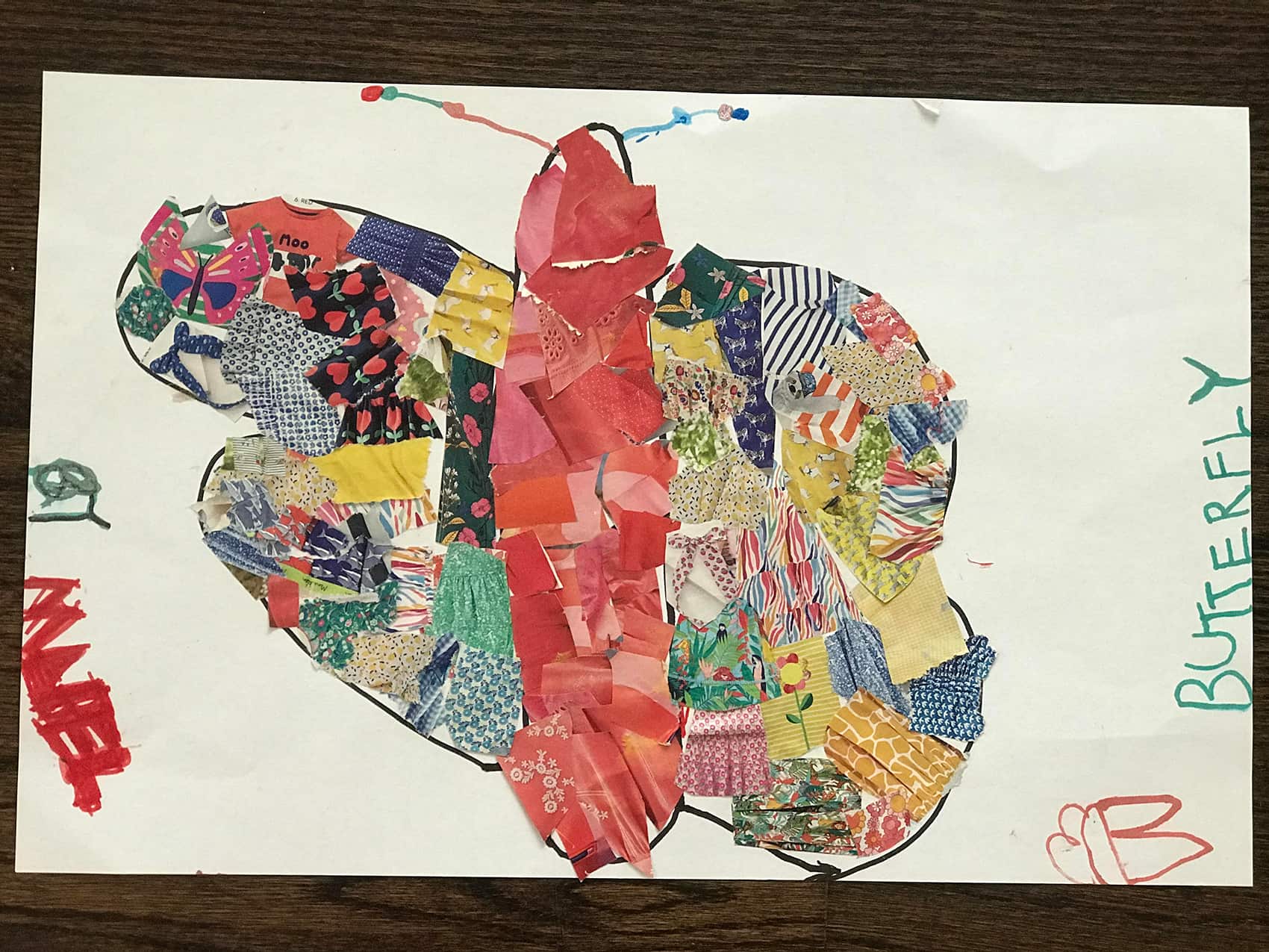 Draw a Butterfly Challenge Winners | AMNH