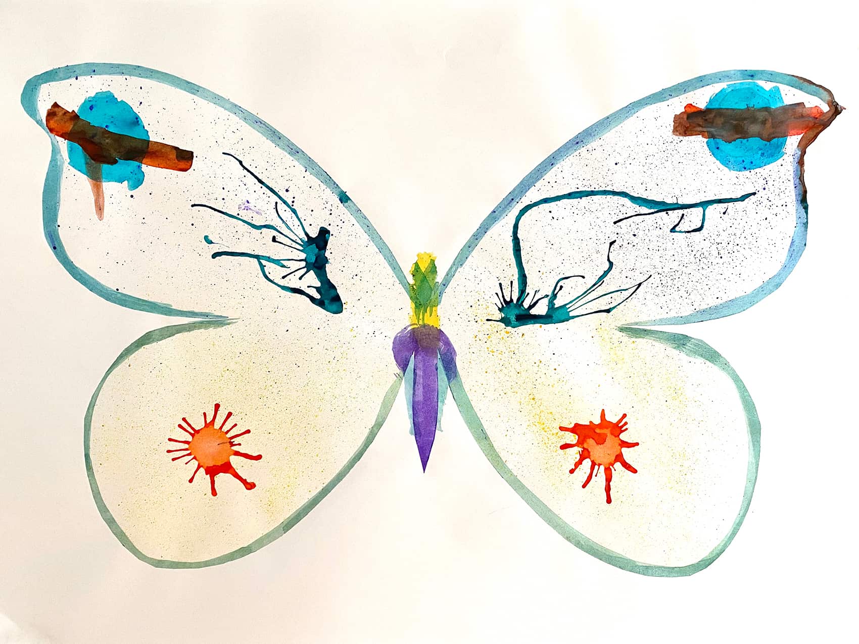 Draw a Butterfly Challenge Winners | AMNH