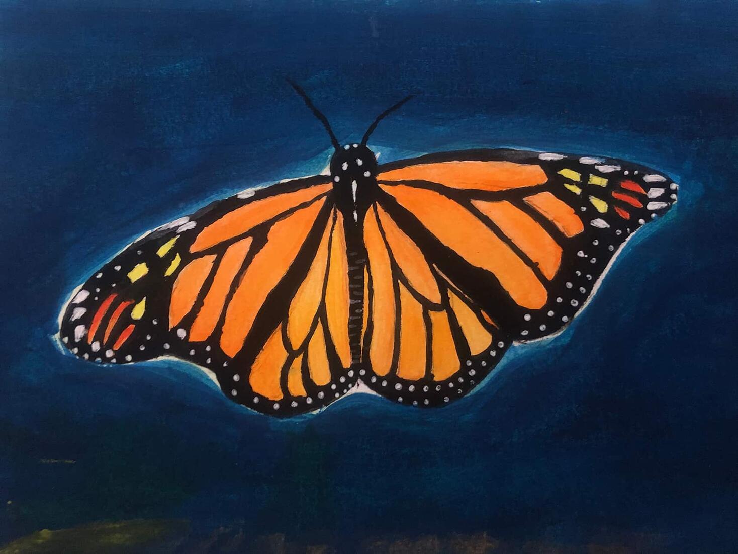 Draw a Butterfly Challenge Winners | AMNH