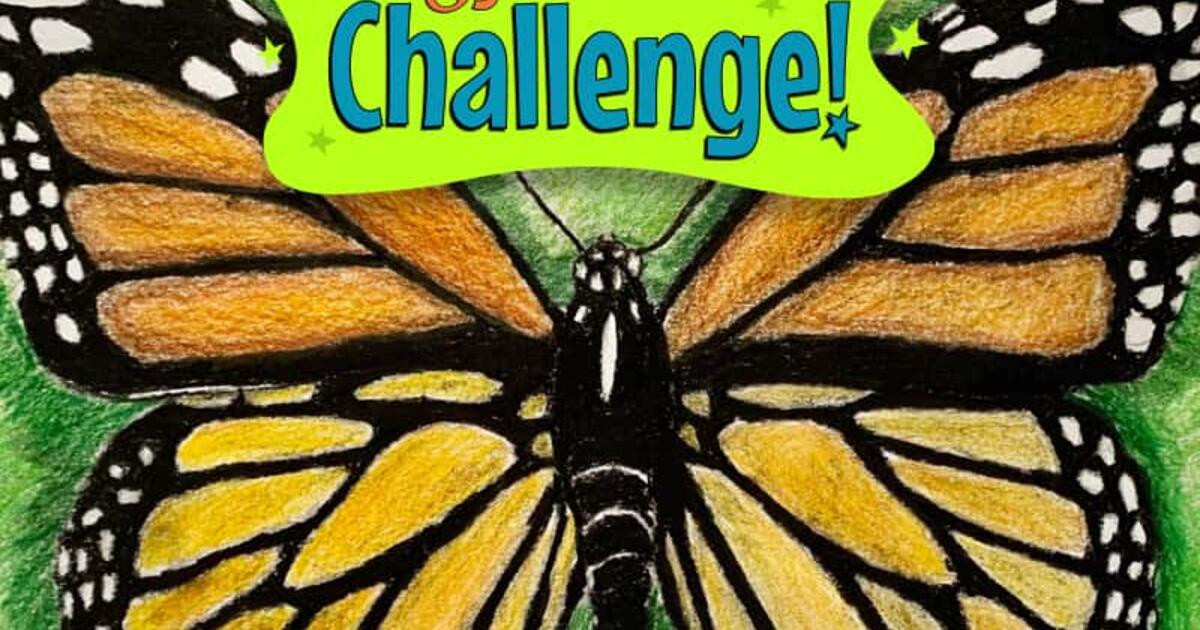 Draw a Butterfly Challenge Winners | AMNH