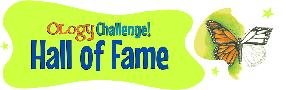 Draw a Butterfly Challenge Winners | AMNH