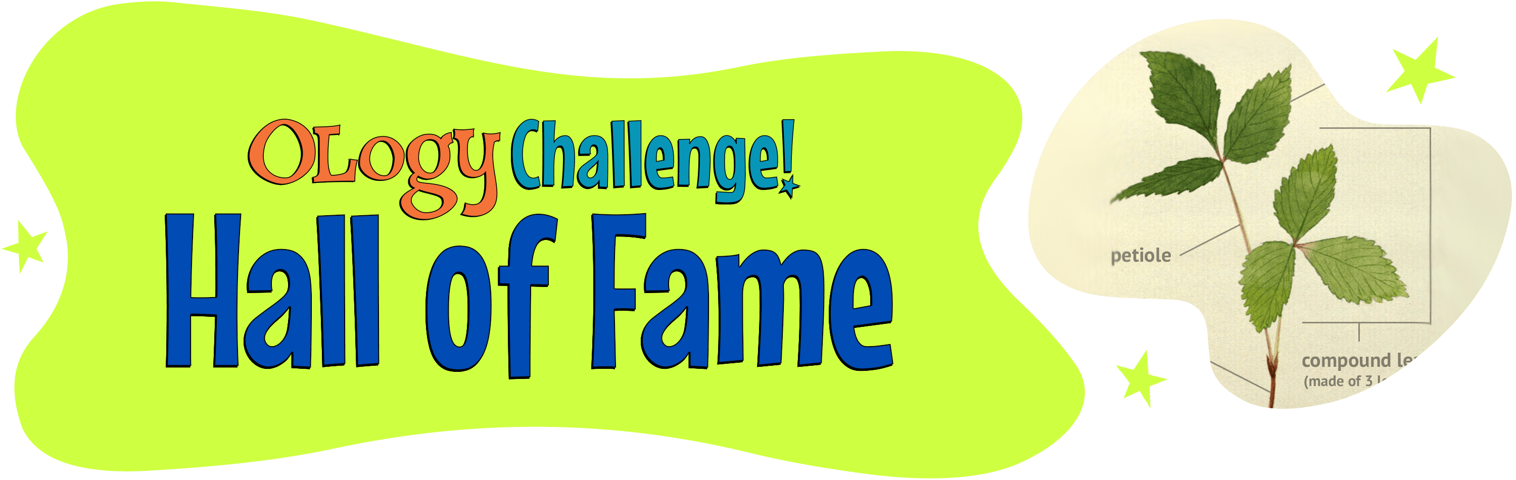 Draw a Plant Challenge Winners | AMNH