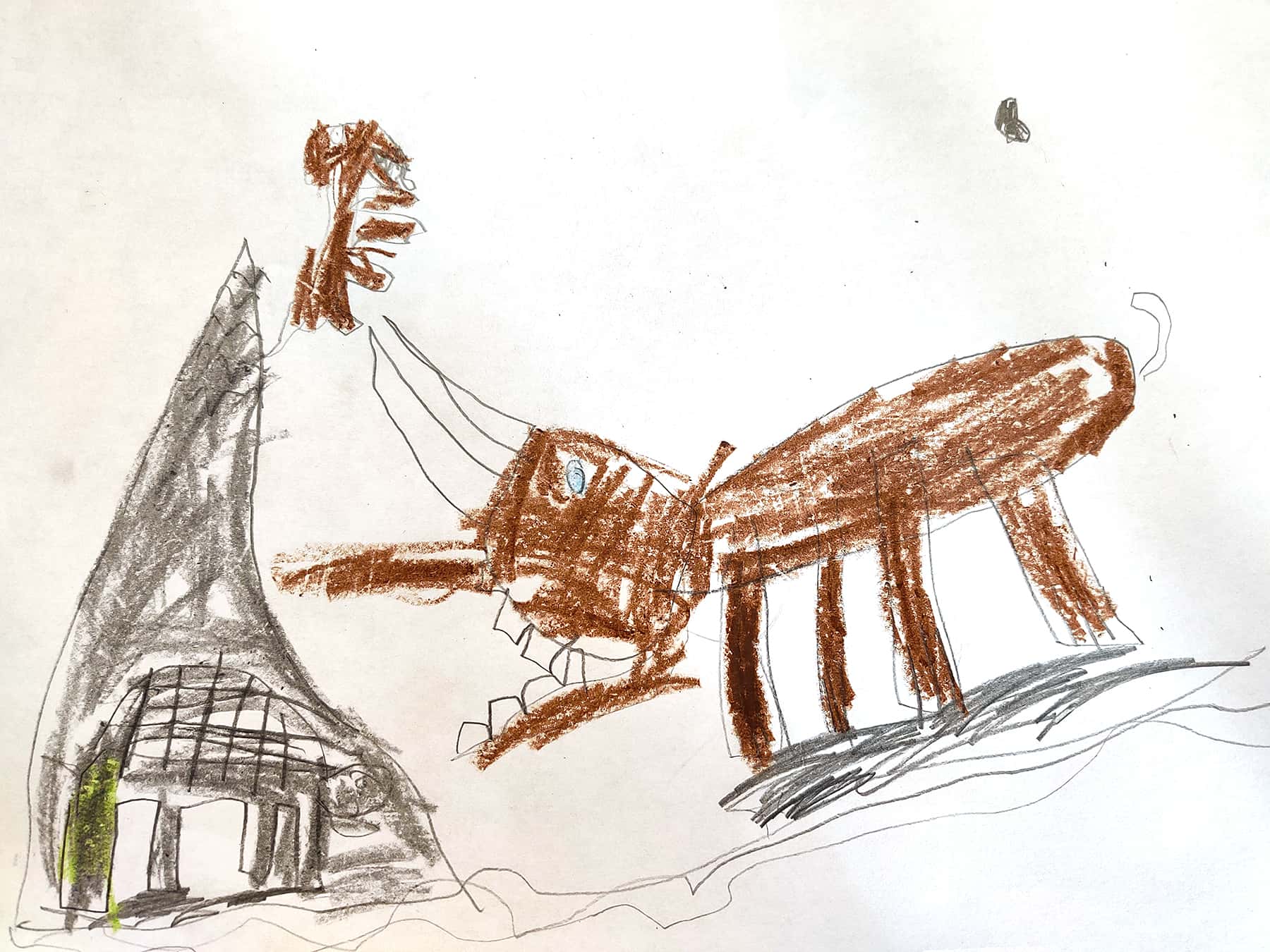 Draw an Extinct Mammal Challenge Winners | AMNH