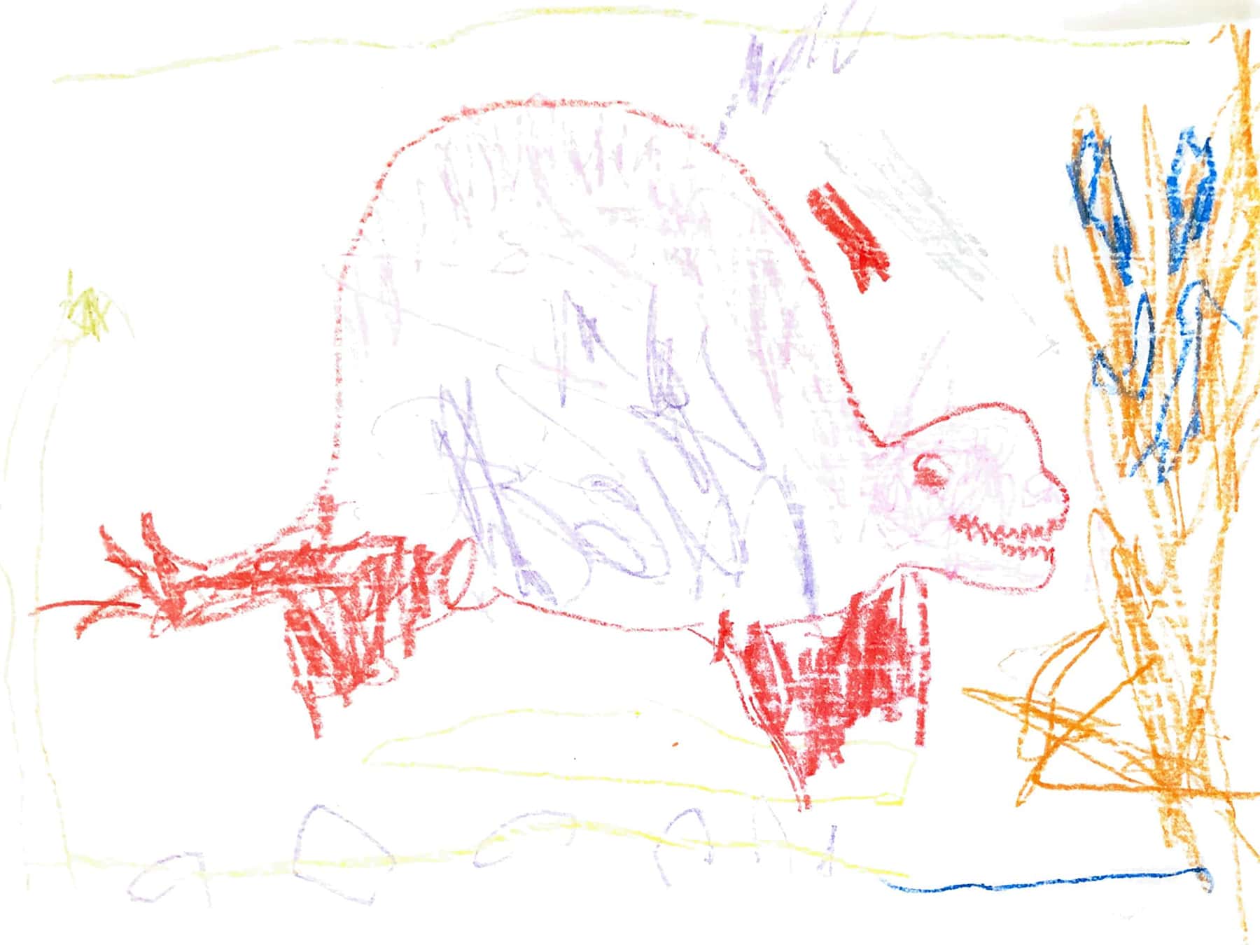 Draw an Extinct Mammal Challenge Winners | AMNH