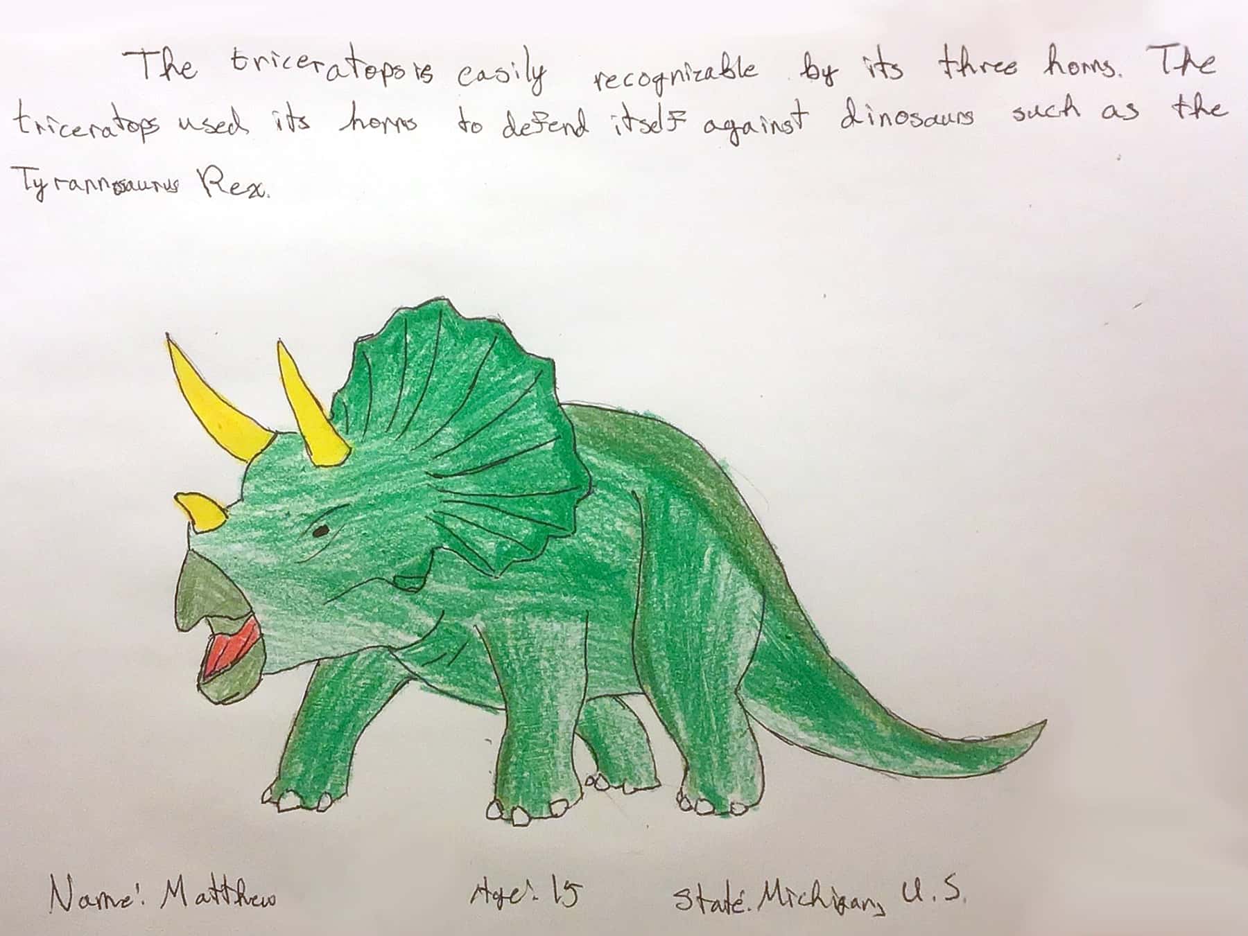 Draw an Extinct Mammal Challenge Winners | AMNH