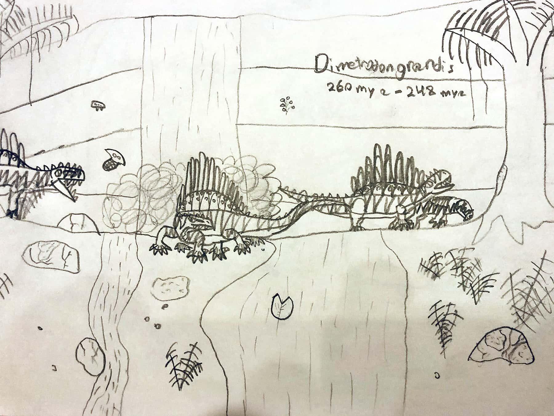Draw an Extinct Mammal Challenge Winners | AMNH