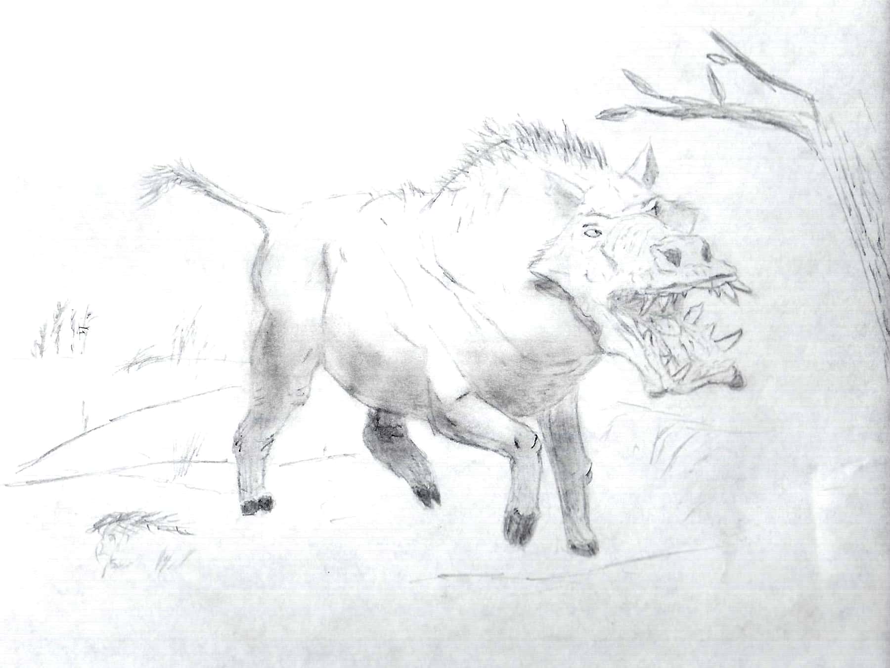 Draw an Extinct Mammal Challenge Winners | AMNH