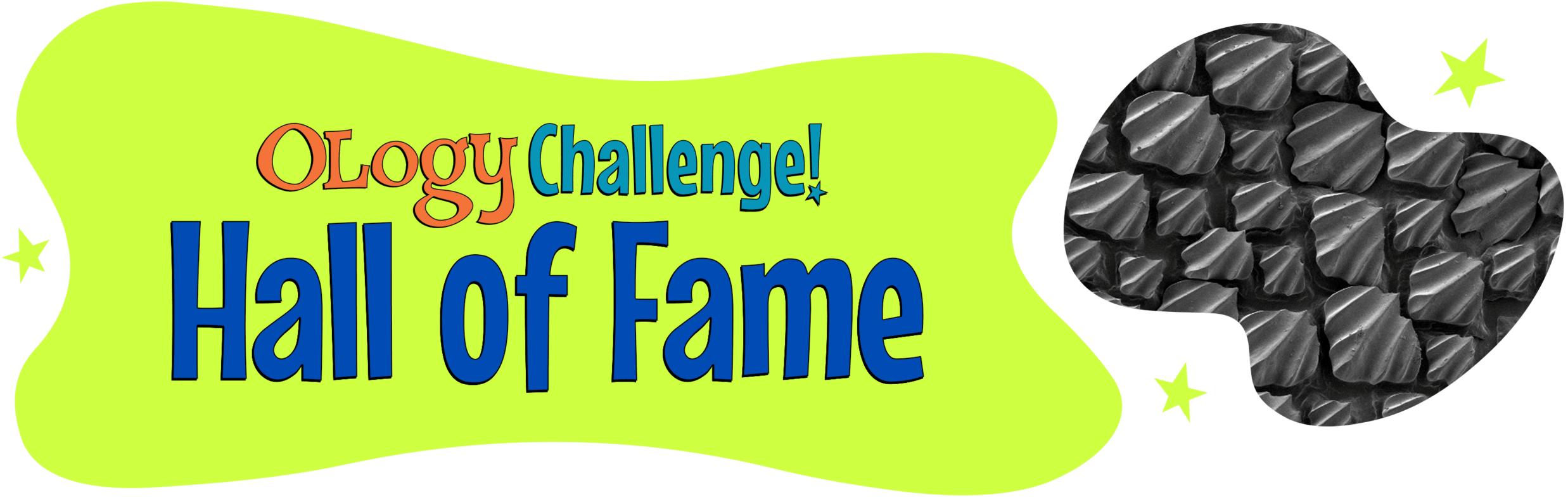 Draw the Invisible Challenge Winners | AMNH