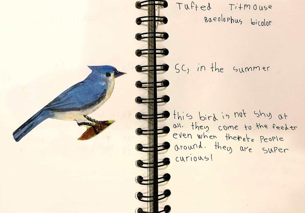 Keep a Field Journal Challenge Winners | AMNH