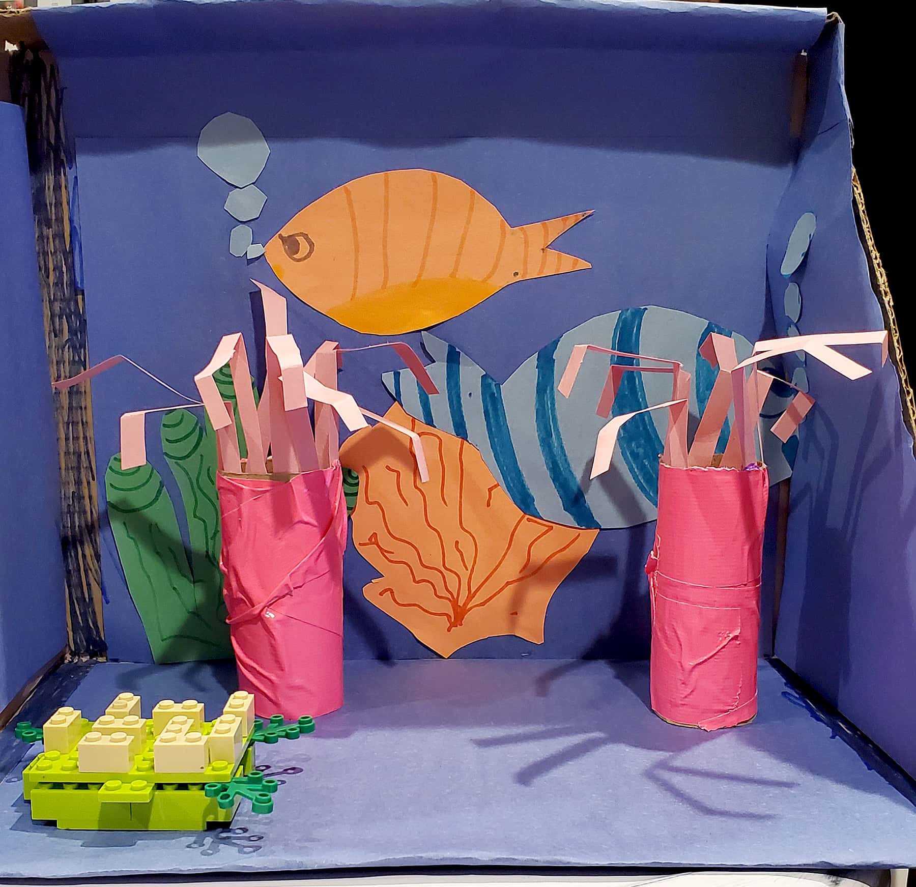 Make a Marine Ecosystem Diorama Challenge Winners | AMNH