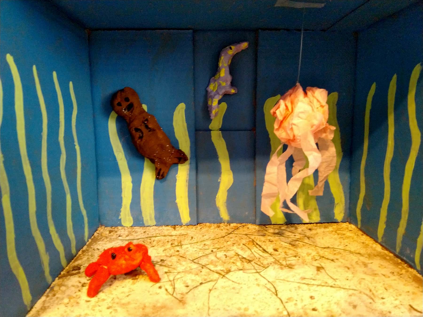 Make a Marine Ecosystem Diorama Challenge Winners | AMNH