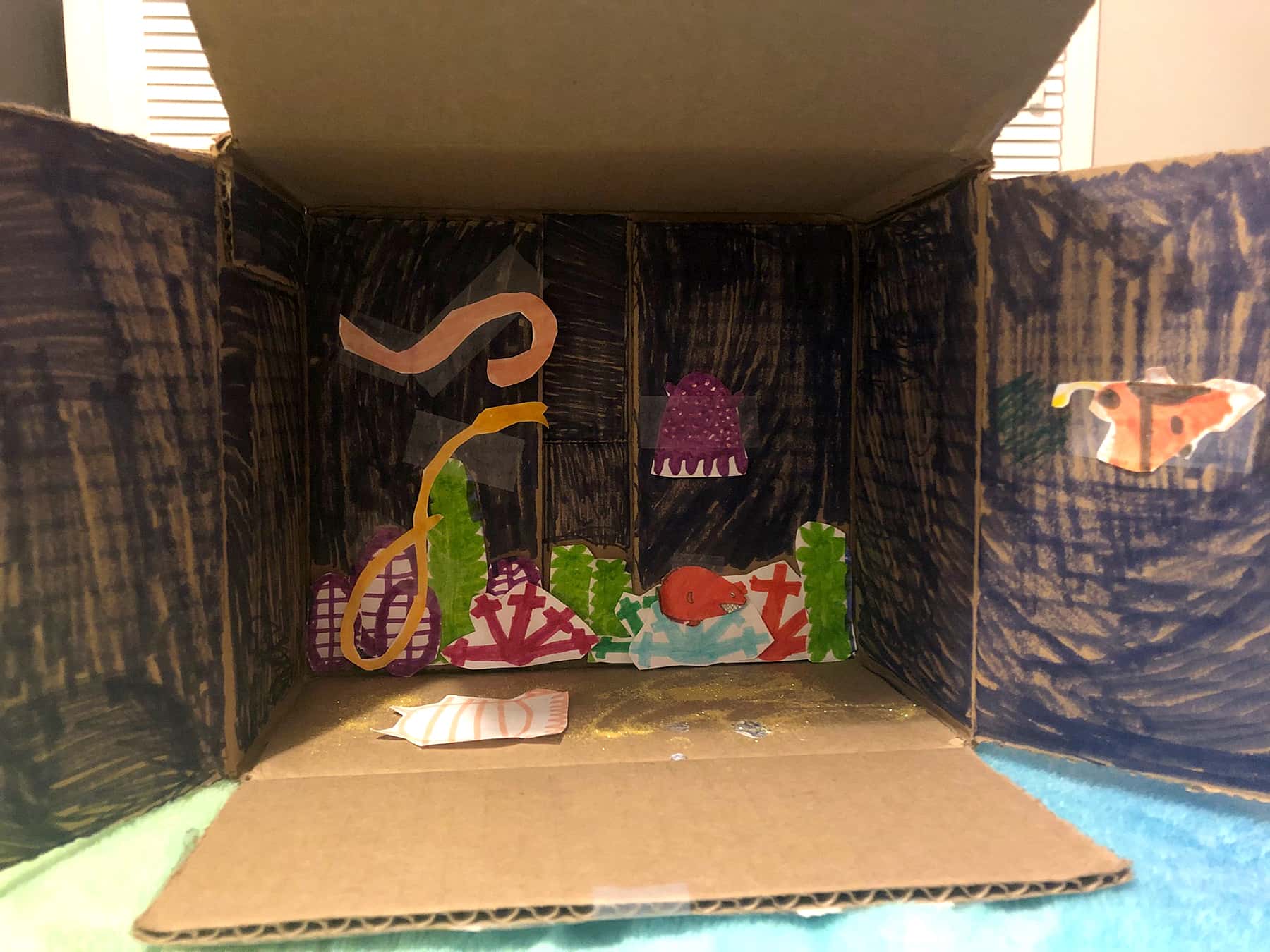 Make a Marine Ecosystem Diorama Challenge Winners | AMNH