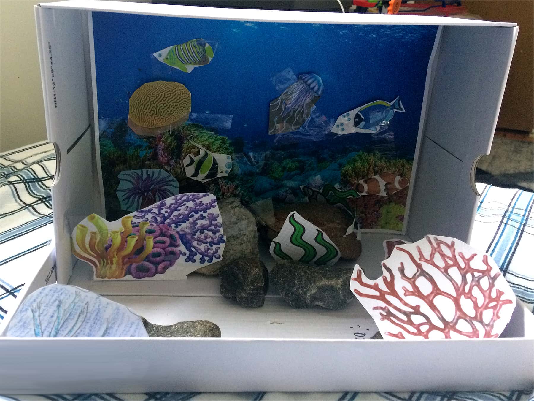 Make a Marine Ecosystem Diorama Challenge Winners | AMNH