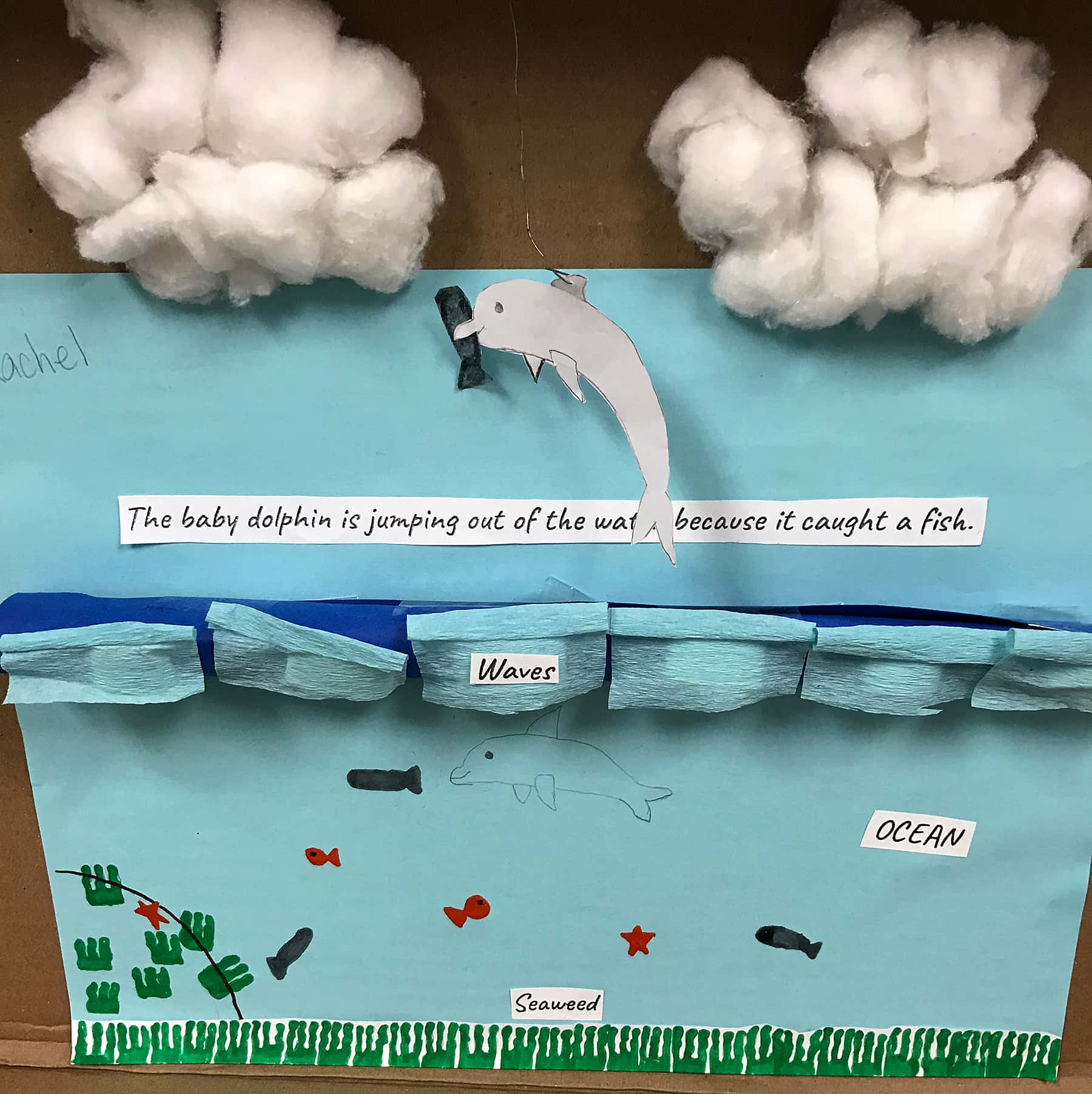 Make a Marine Ecosystem Diorama Challenge Winners | AMNH