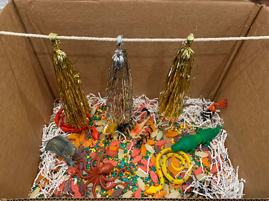 Make a Marine Ecosystem Diorama Challenge Winners | AMNH