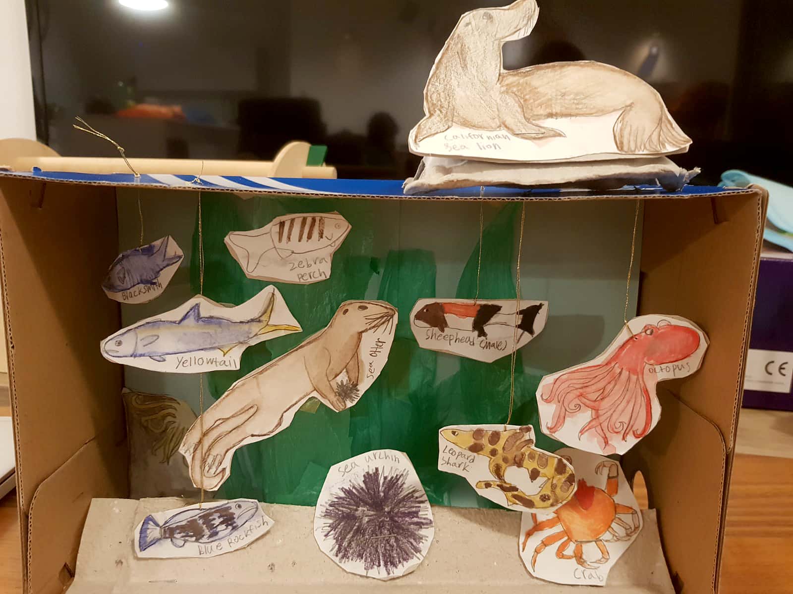 Make a Marine Ecosystem Diorama Challenge Winners | AMNH