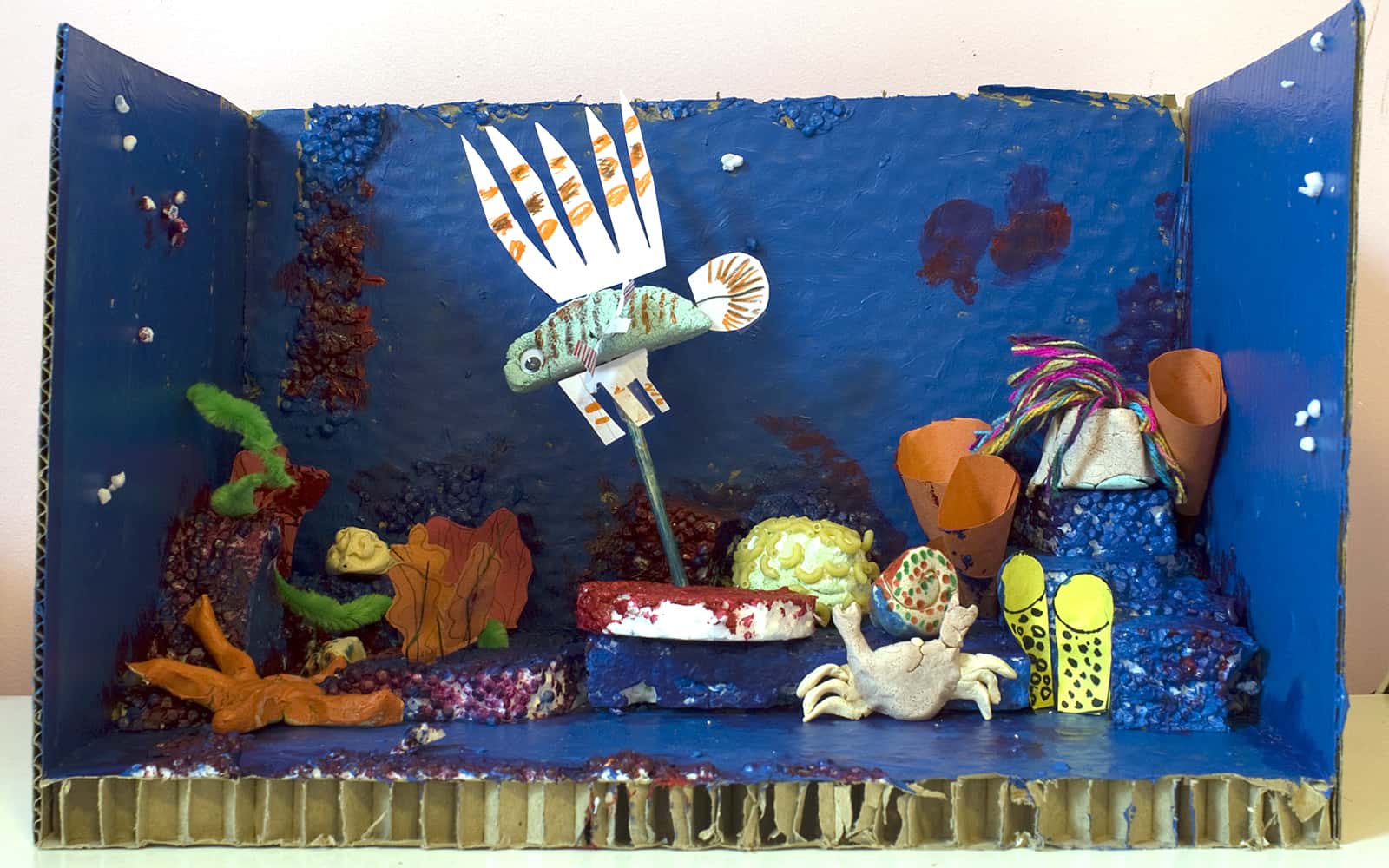 Make a Marine Ecosystem Diorama Challenge Winners | AMNH