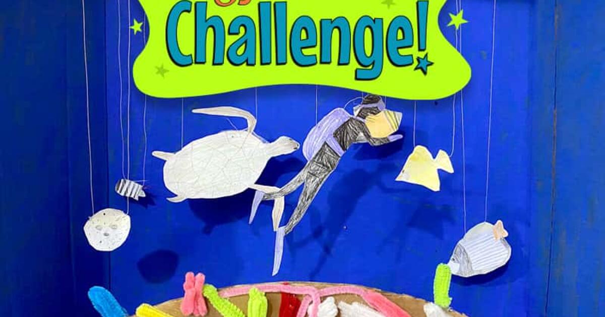 ocean ecosystem project examples