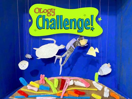 Create a Coral Reef | AMNH Create a Coral Reef | AMNH