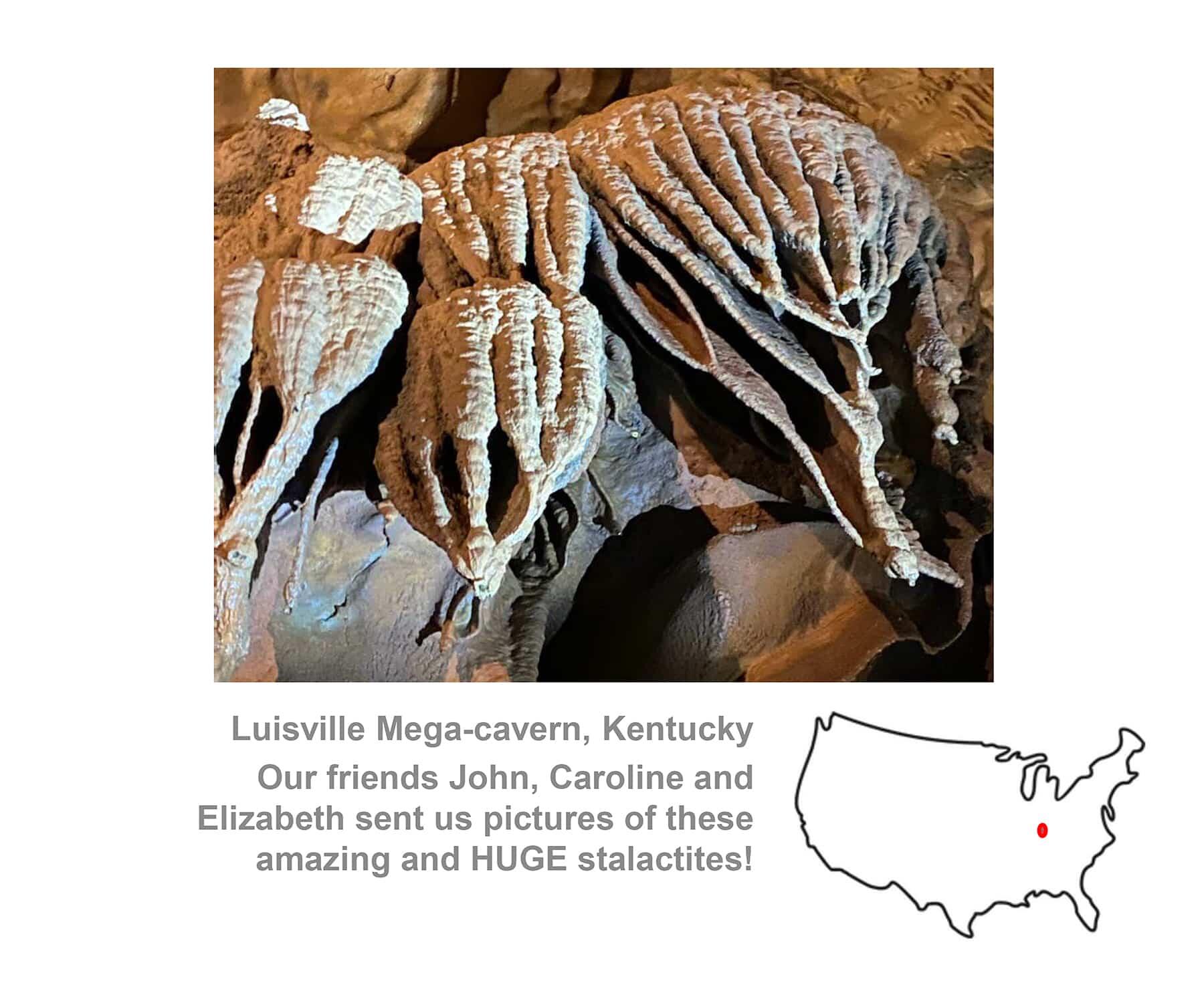 Start a Rock Collection Challenge Winners | AMNH