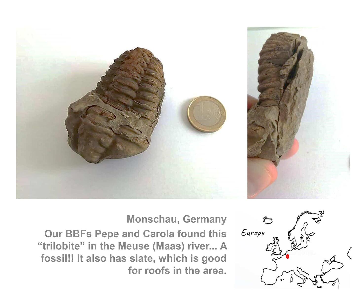 Start a Rock Collection Challenge Winners | AMNH