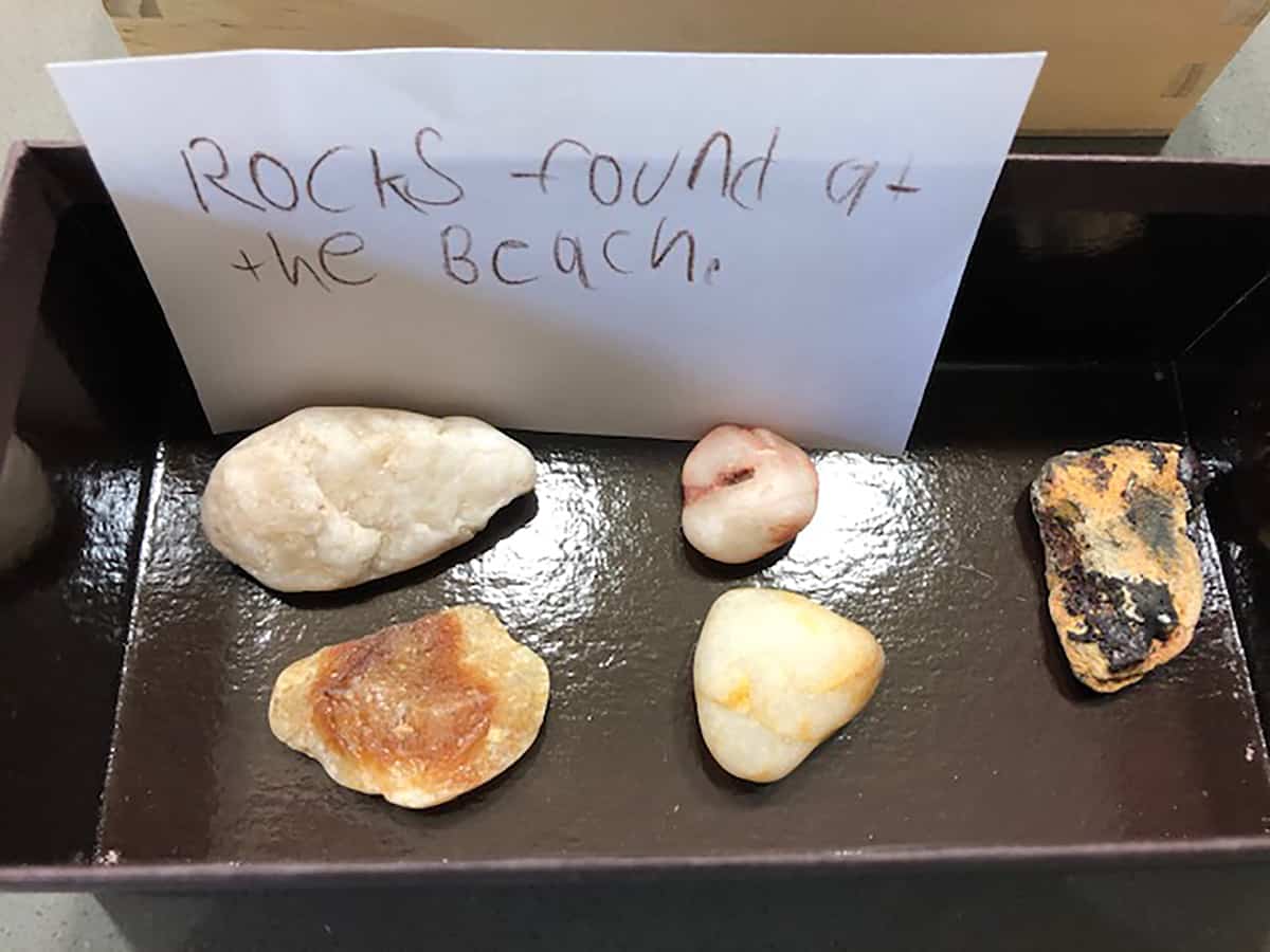 Start a Rock Collection Challenge Winners | AMNH