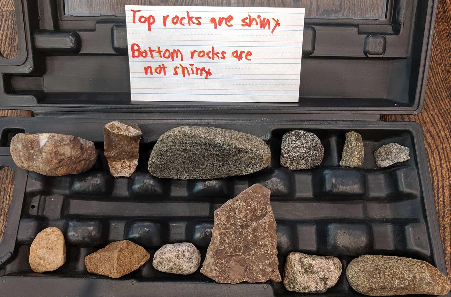 Start a Rock Collection Challenge Winners | AMNH