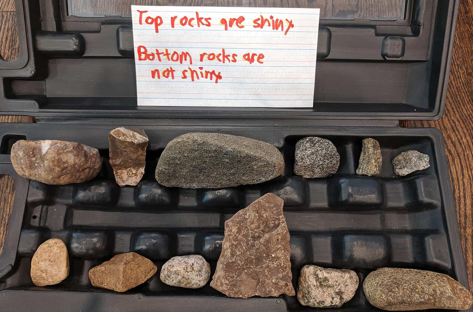 Start A Rock Collection Challenge Winners Amnh