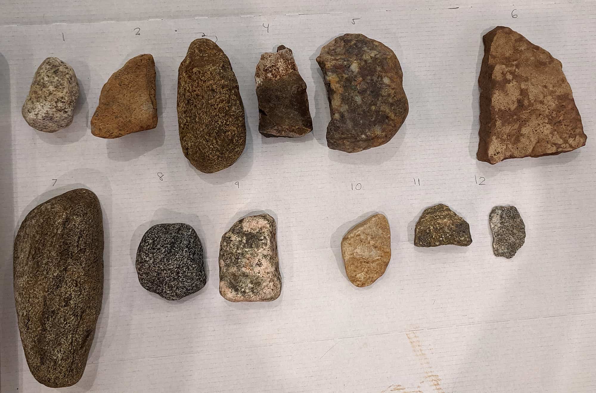 Start a Rock Collection Challenge Winners | AMNH