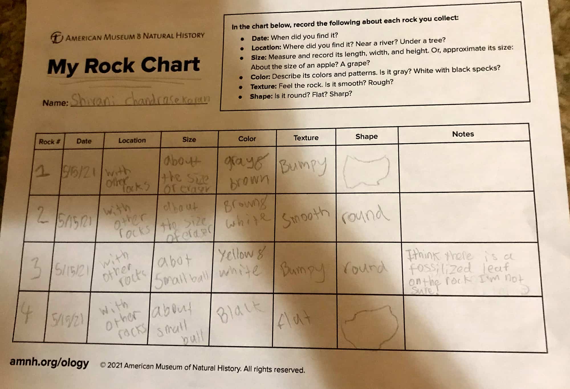 Start a Rock Collection Challenge Winners | AMNH