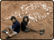 Ask a Scientist About Dinosaurs | AMNH