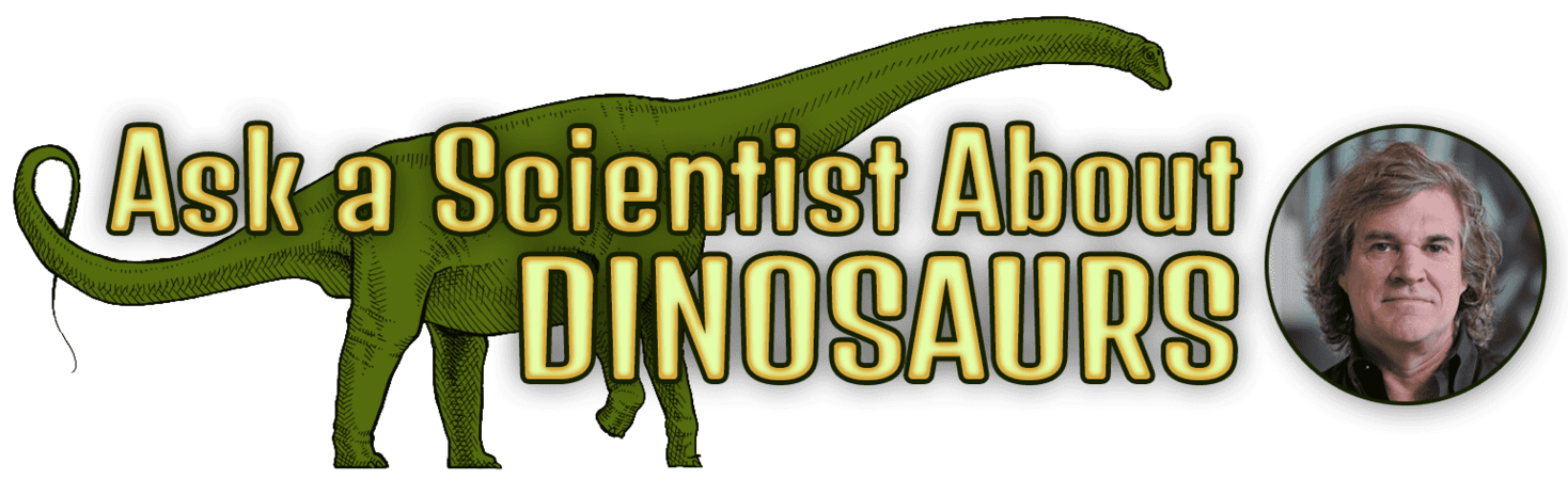 Ask a Scientist About Dinosaurs | AMNH