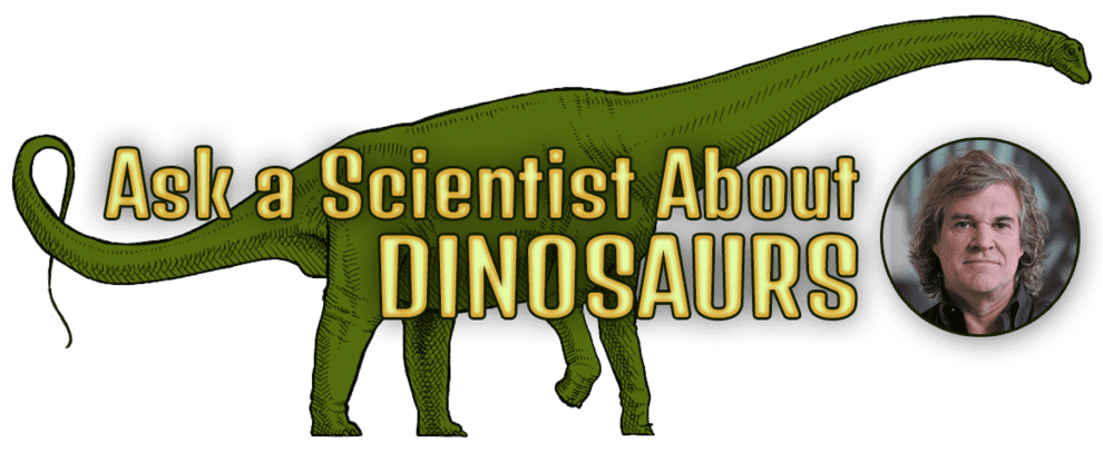Ask a Scientist About Dinosaurs | AMNH